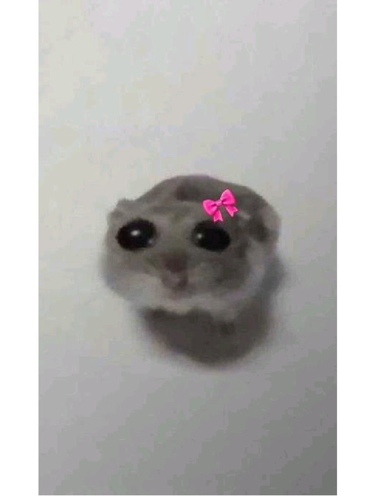 Pookie 20240916 185453 | PDF