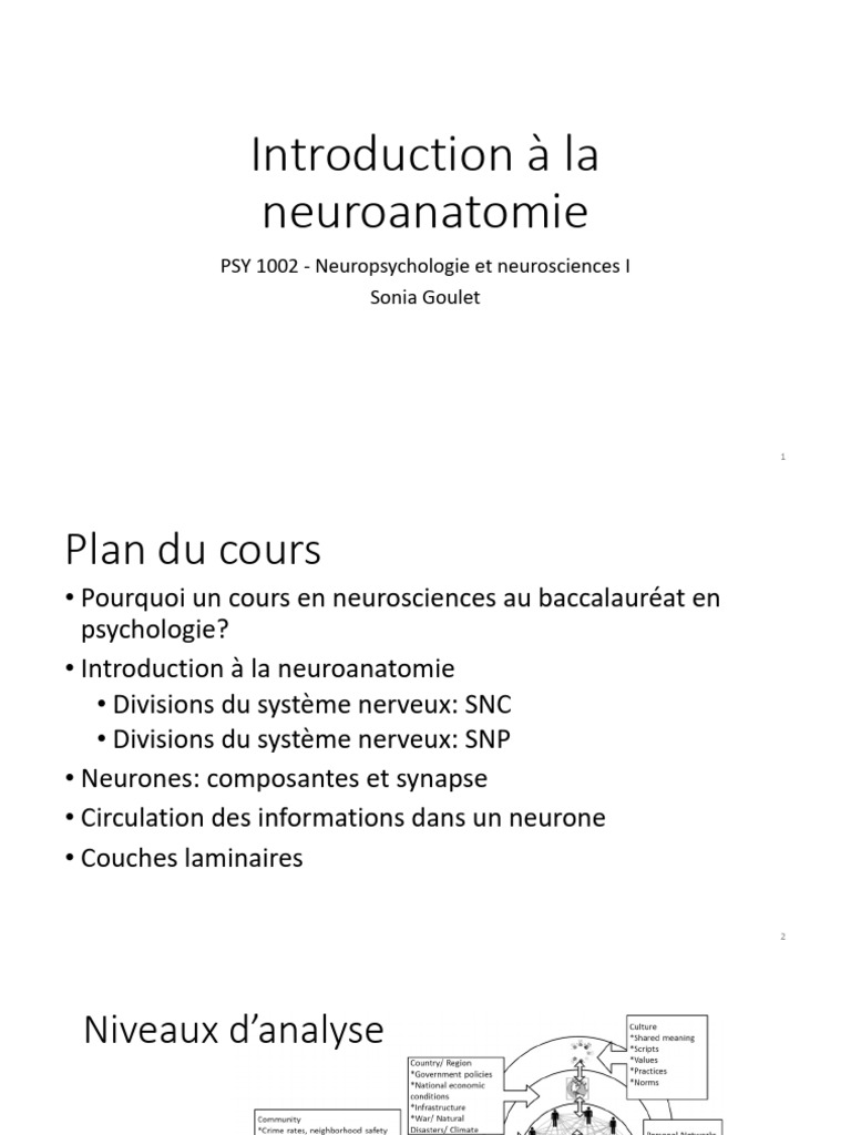 Cours 1 | PDF