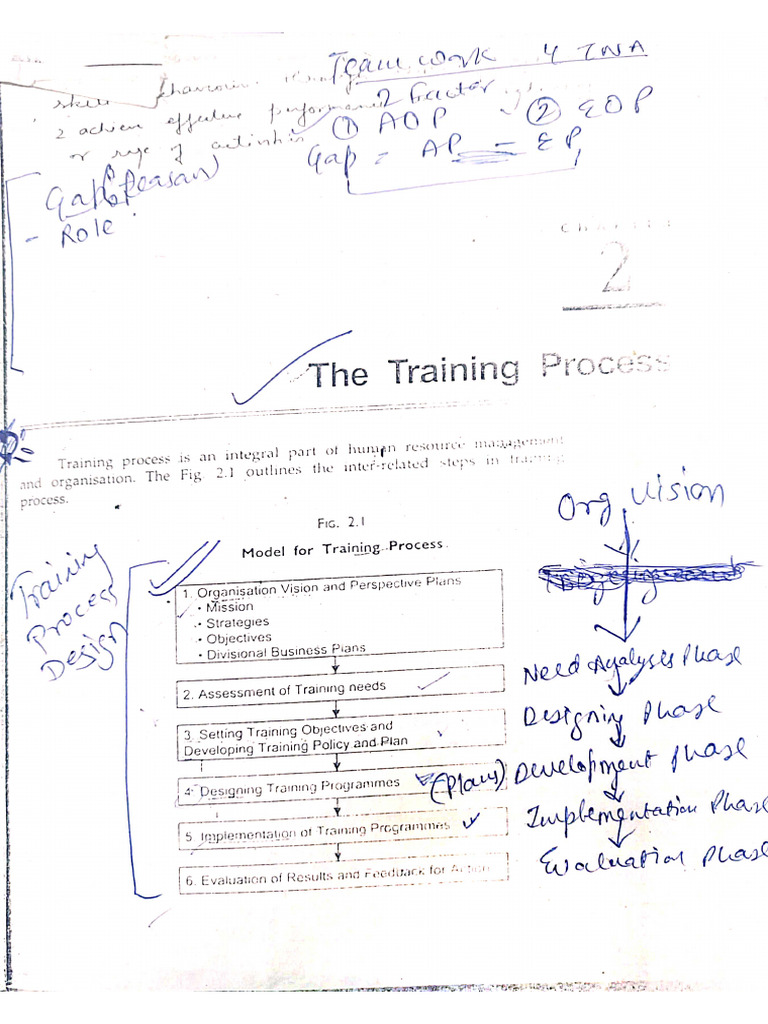 Training Process | PDF