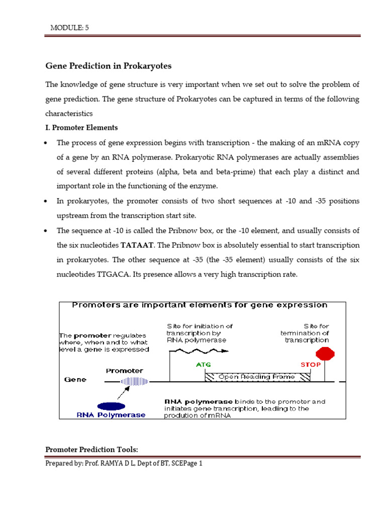 Module 5 21bt54.vtu 1 | PDF