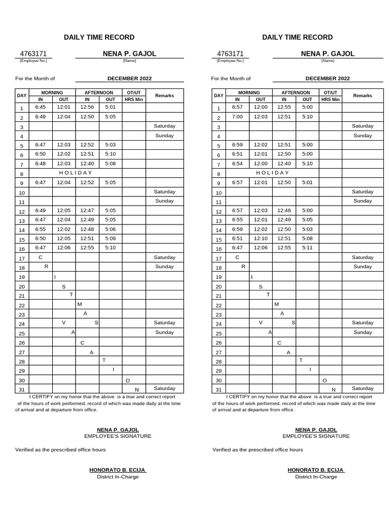 DTR New Template | PDF