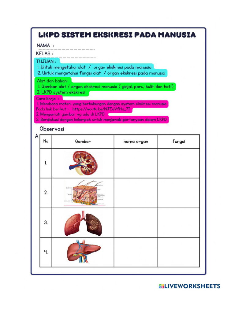 LKPD Sistem Ekskresi | PDF