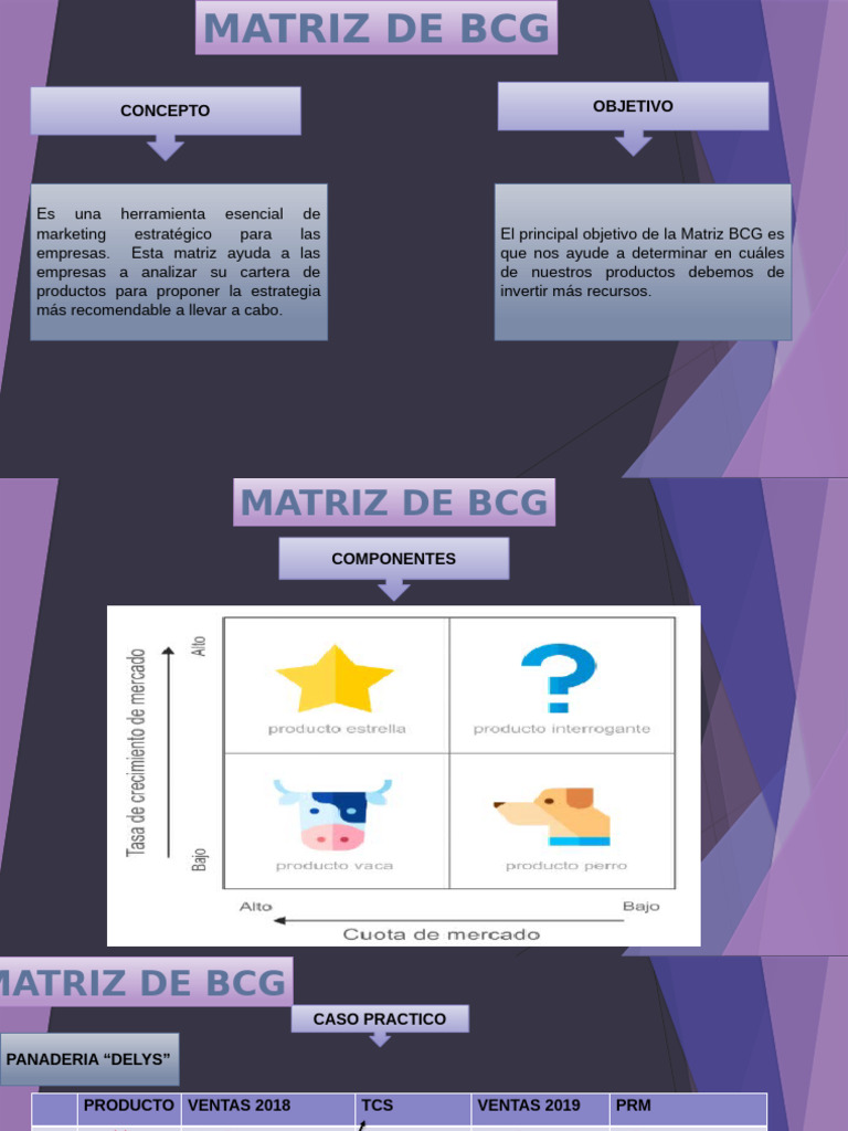 BCG Caso Practico | PDF