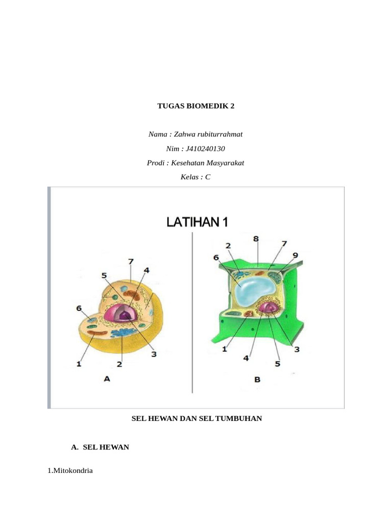 Biomedik 2 Zahwa R | PDF