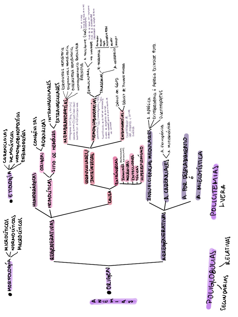 Esquema t.3.2 Patologia Eritrocitos | PDF