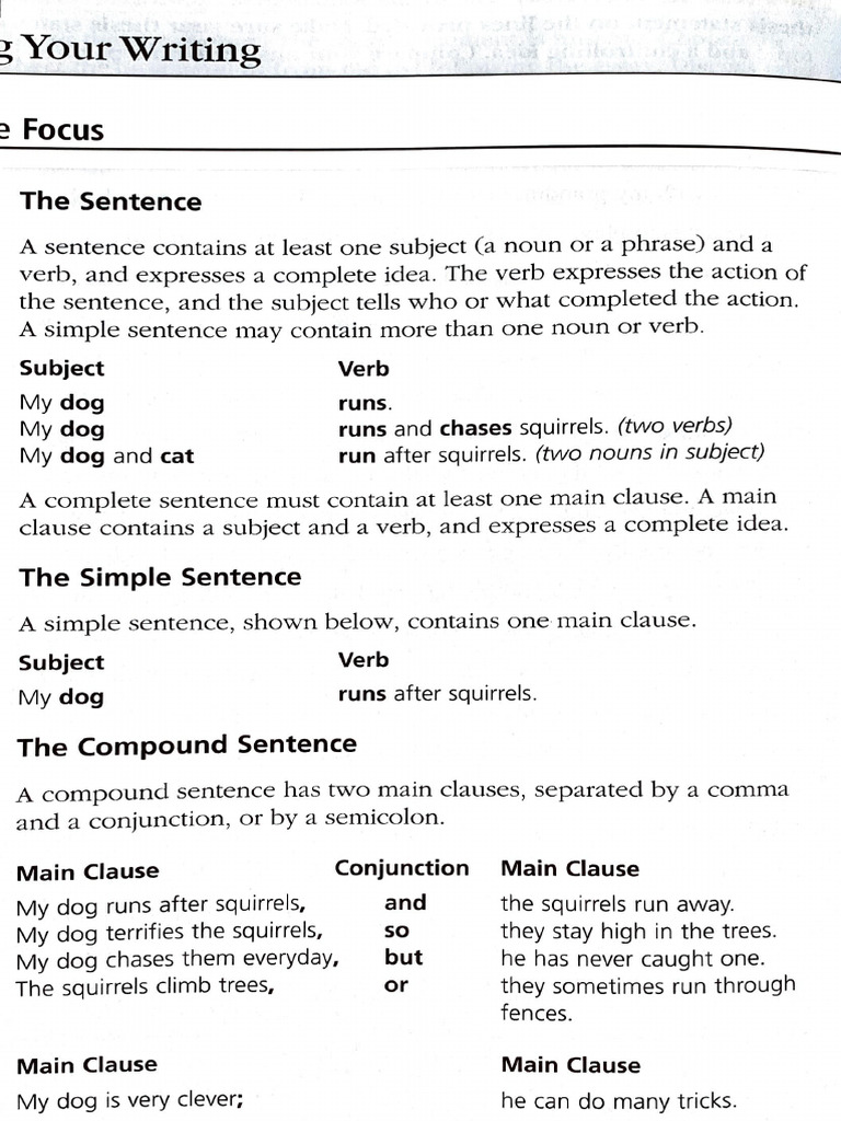 Editing Your Writing | PDF