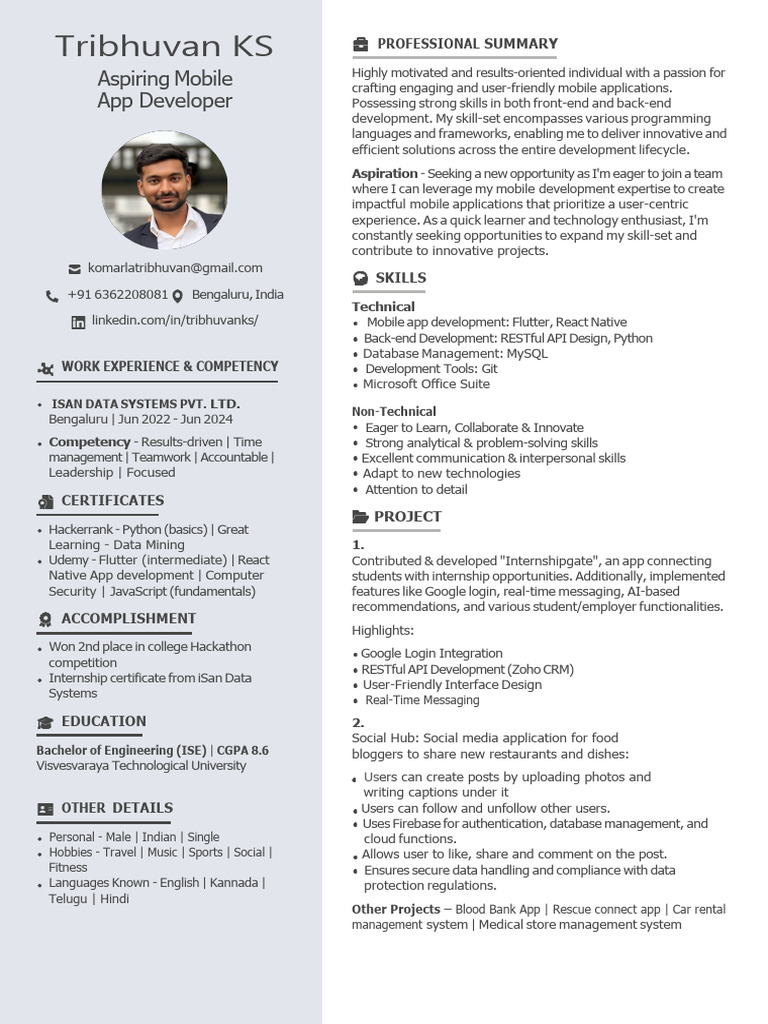 Aspiring Mobile App Developer: Professional Summary | PDF | Mobile App | Databases