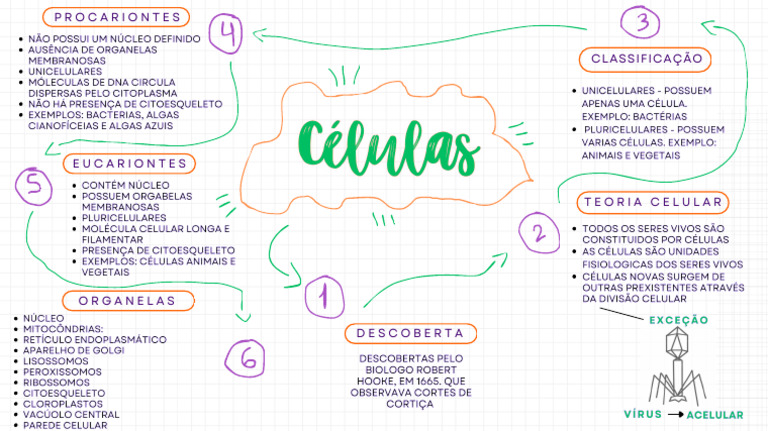 Mapa Mental CÉLULAS | PDF