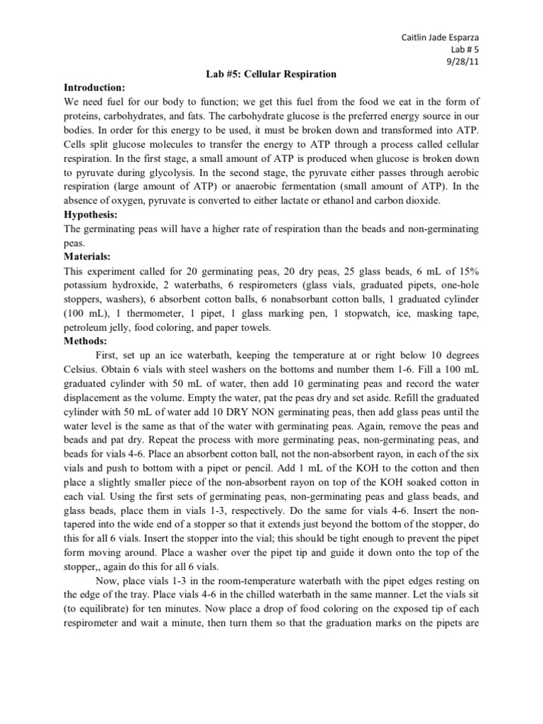 lab-5-cellular-respiration-pdf-cellular-respiration-glycolysis