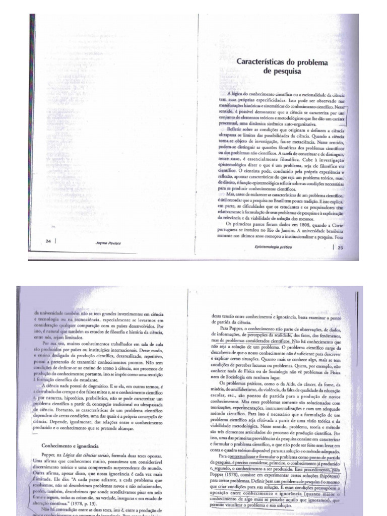 Caracteristicas Do Problema de Pesquisa - Paviani | PDF