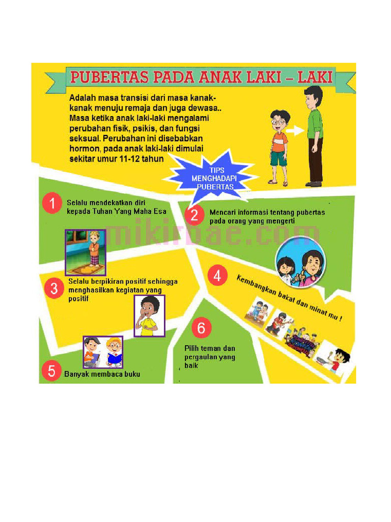 Poster Pubertas | PDF