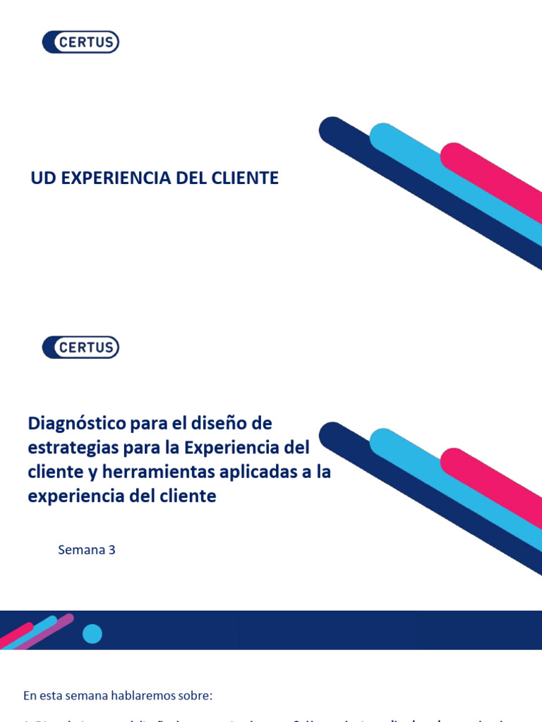 PPT, experiencia del cliente | PDF