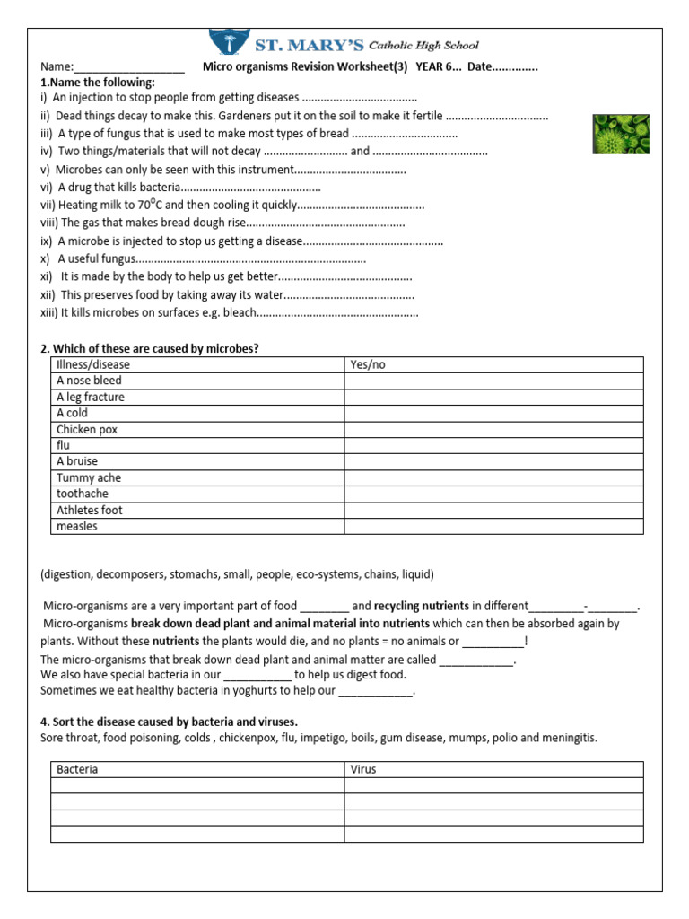 Year 6 Science Microorganisms | PDF