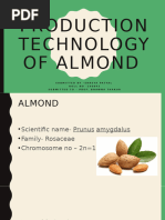 NSIC Seed Variety Catalogue 2023 | PDF | Rice | Organisms