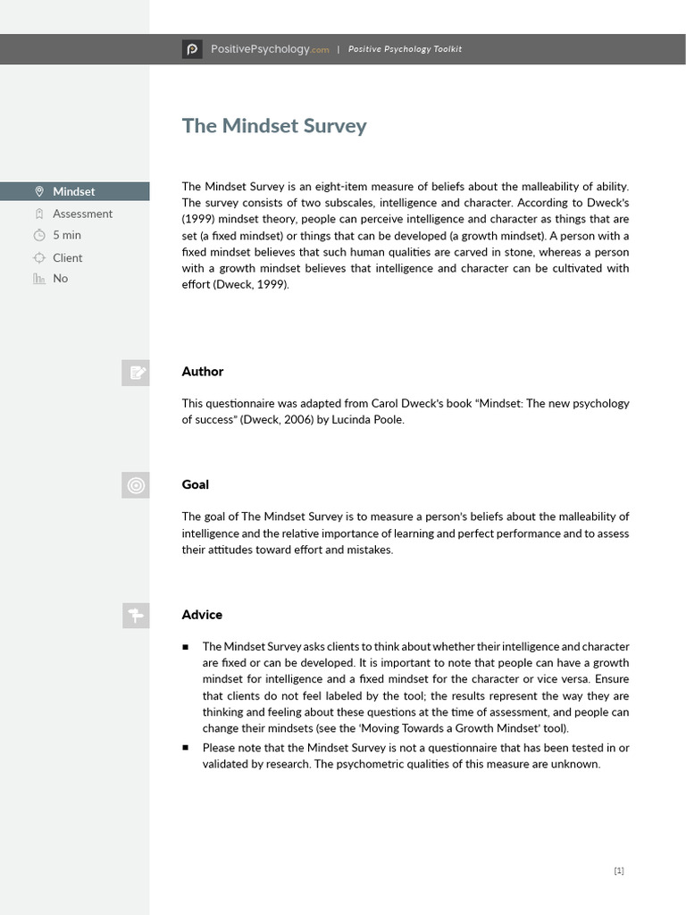 The Mindset Survey | PDF
