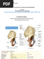 SIJ Stability: Form and Force Closure | PDF | Pelvis | Vertebral Column