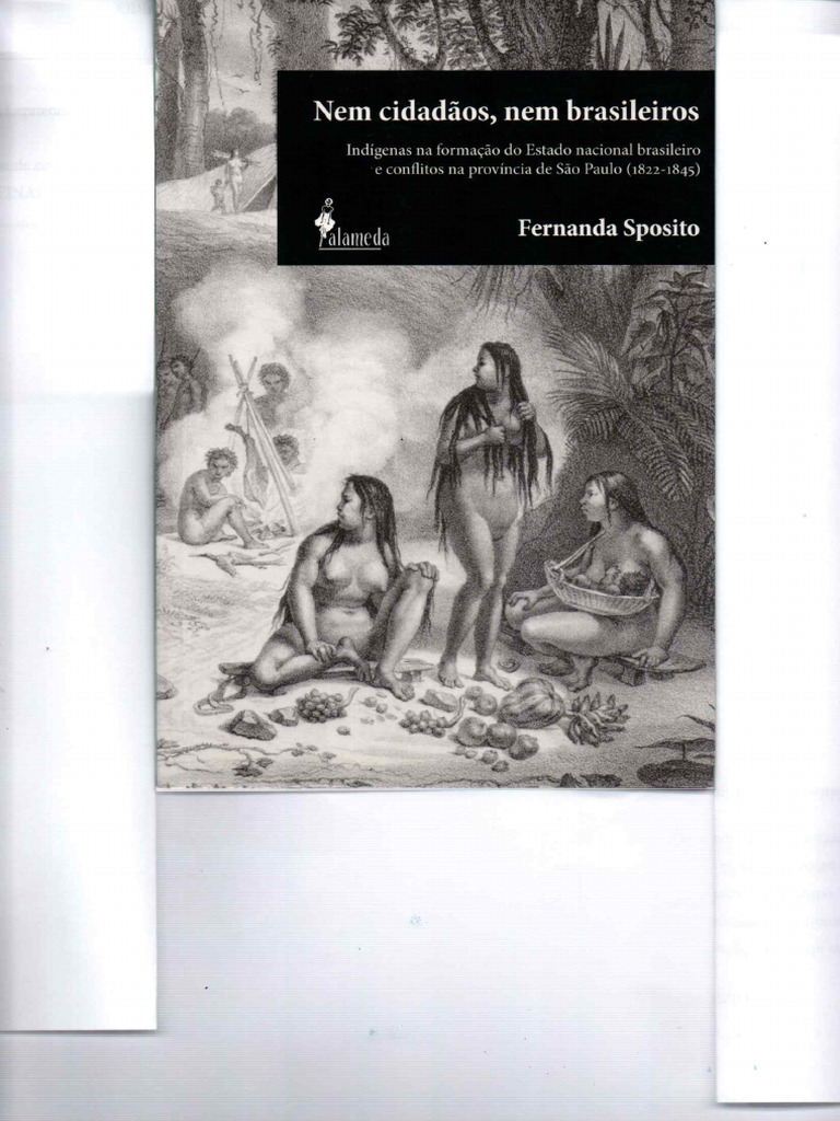 Texto 7 Capítulo - Os Índios No Império | PDF