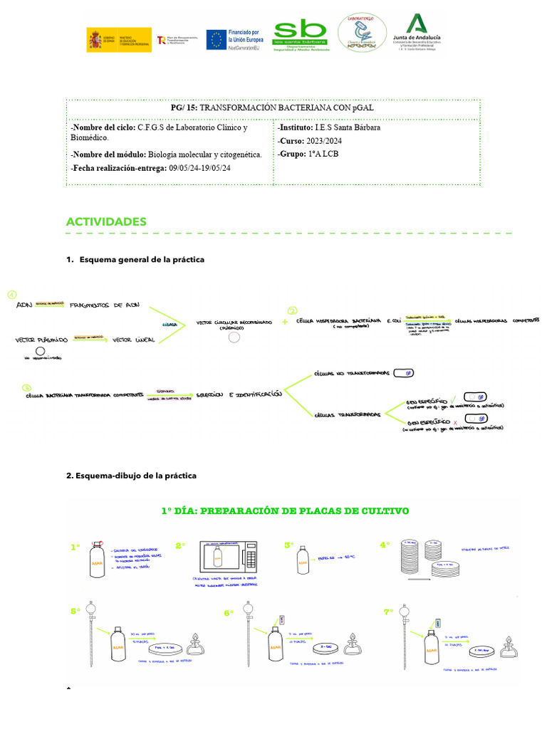 Alba Ruiz, Alba - P15 | PDF