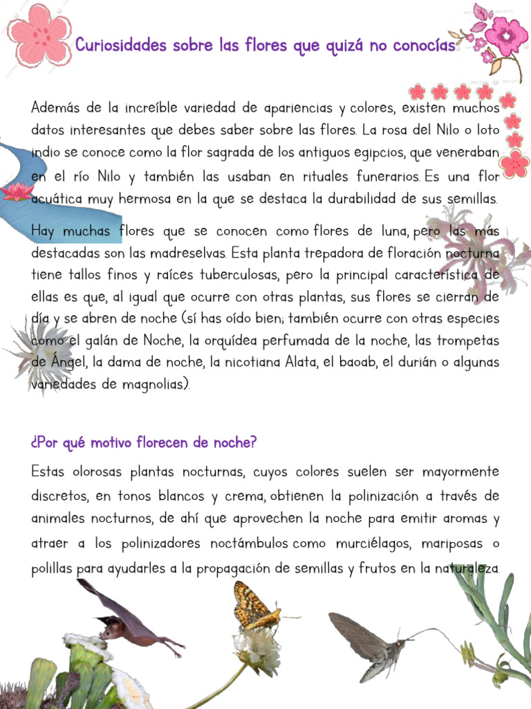 Curiosidades de Las Flores | PDF | Polinización | Flores