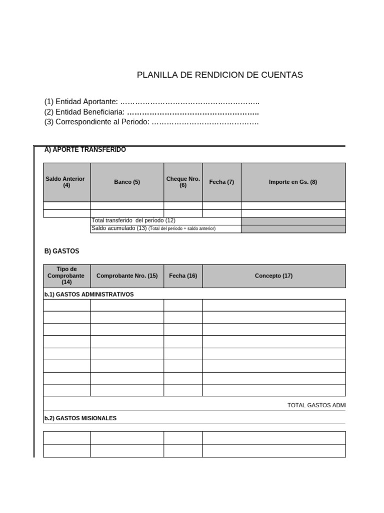 Rendicion de Cuentas ONG Planilla en Blanco | PDF