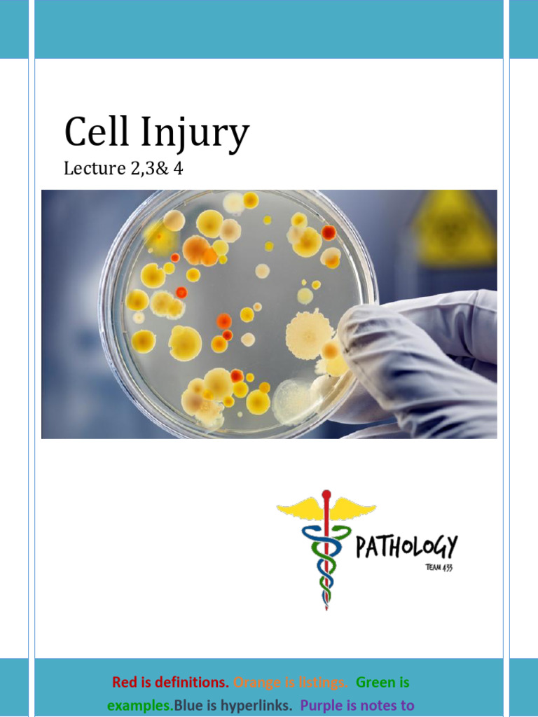 Understanding Cell Injury Mechanisms | PDF | Necrosis | Apoptosis