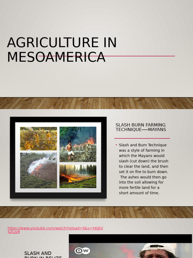 Mesoamerica Agriculture | PDF