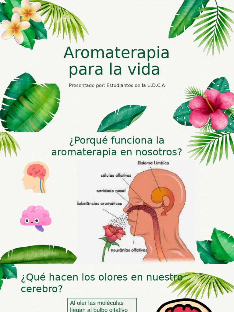 Aromaterapia | PDF