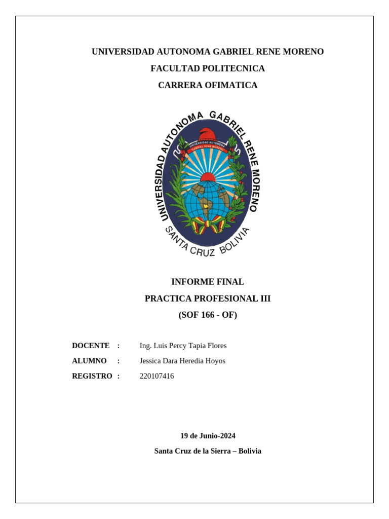 Informe Practica Prof. III | PDF