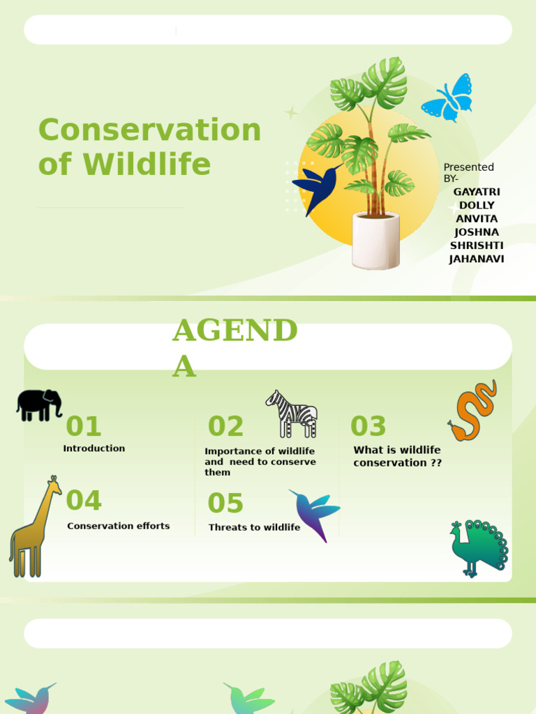 Conservation of Wildlife Final PPT by Anvita | PDF
