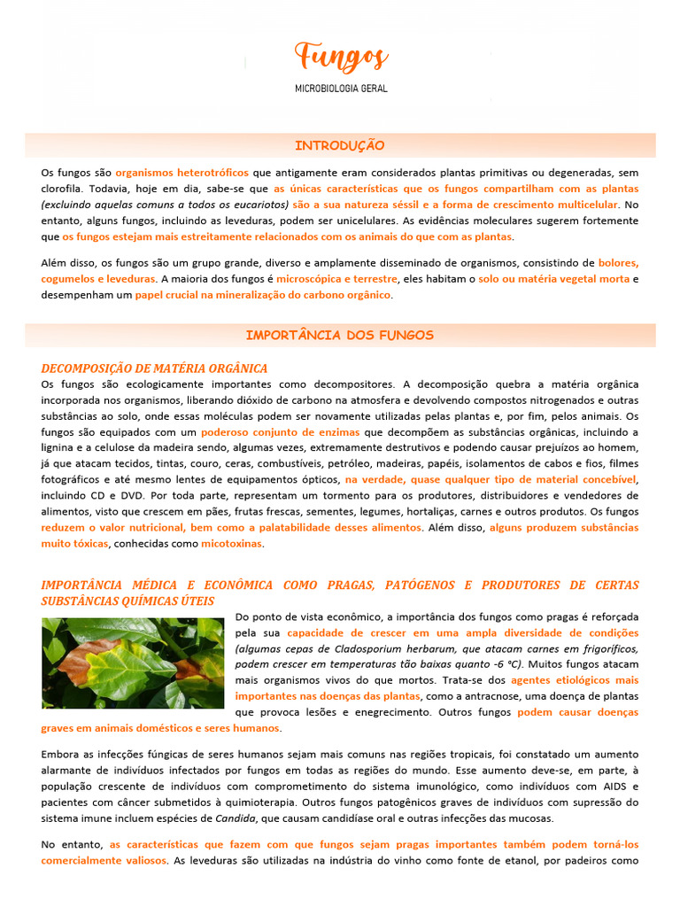 Microbiologia - Fungos | PDF