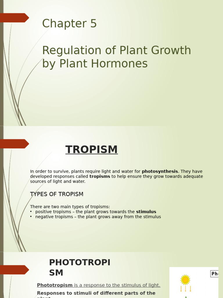 Auxin's Role in Plant Tropisms | PDF | Auxin | Organisms