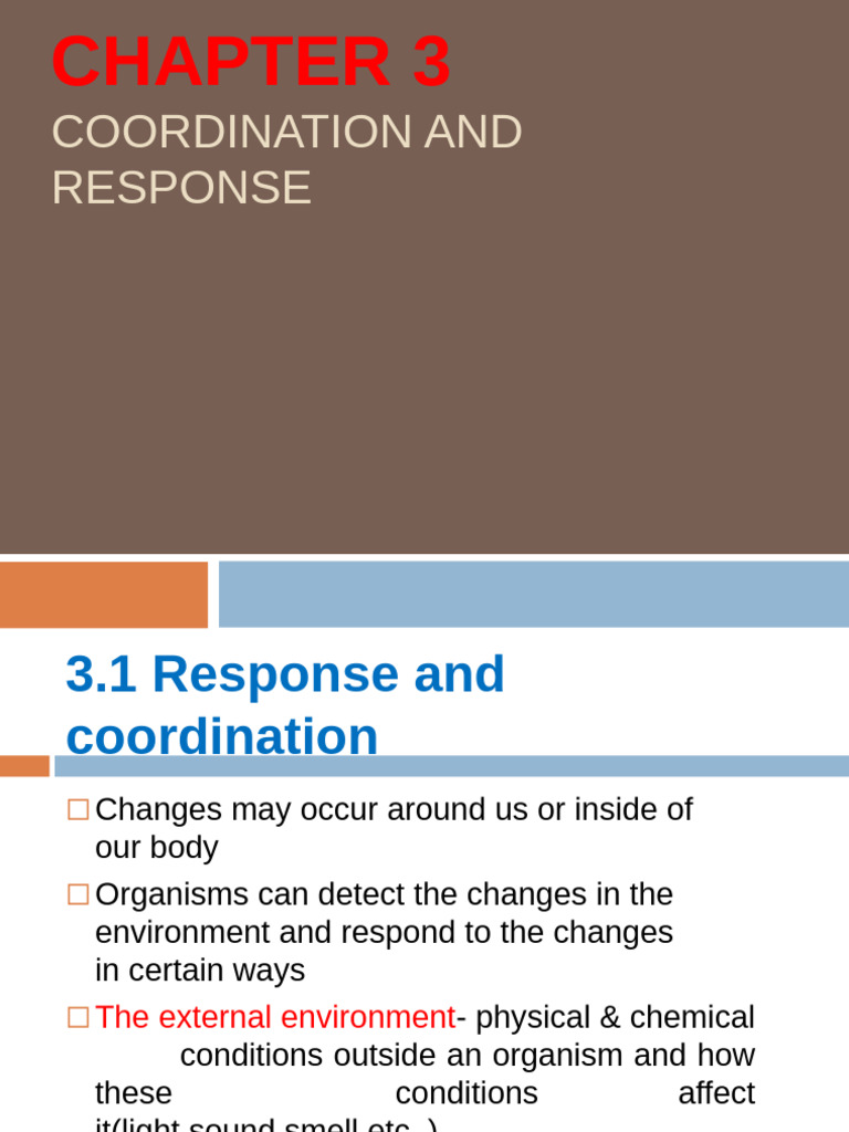Coordination and Response in Organisms | PDF | Nervous System | Self ...