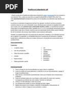EXPERIMENTO TINTA INVISIBLE CON CURCUMA_20250203_094212_0000 | PDF ...
