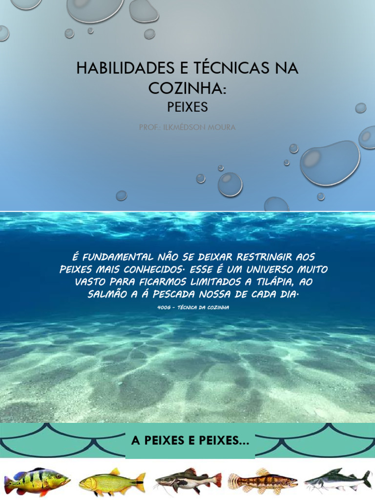Aula 16 - Peixes - Gastronomia Nacional e Mundial | PDF