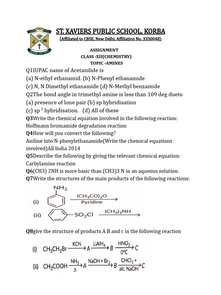 Amines Assignment | PDF