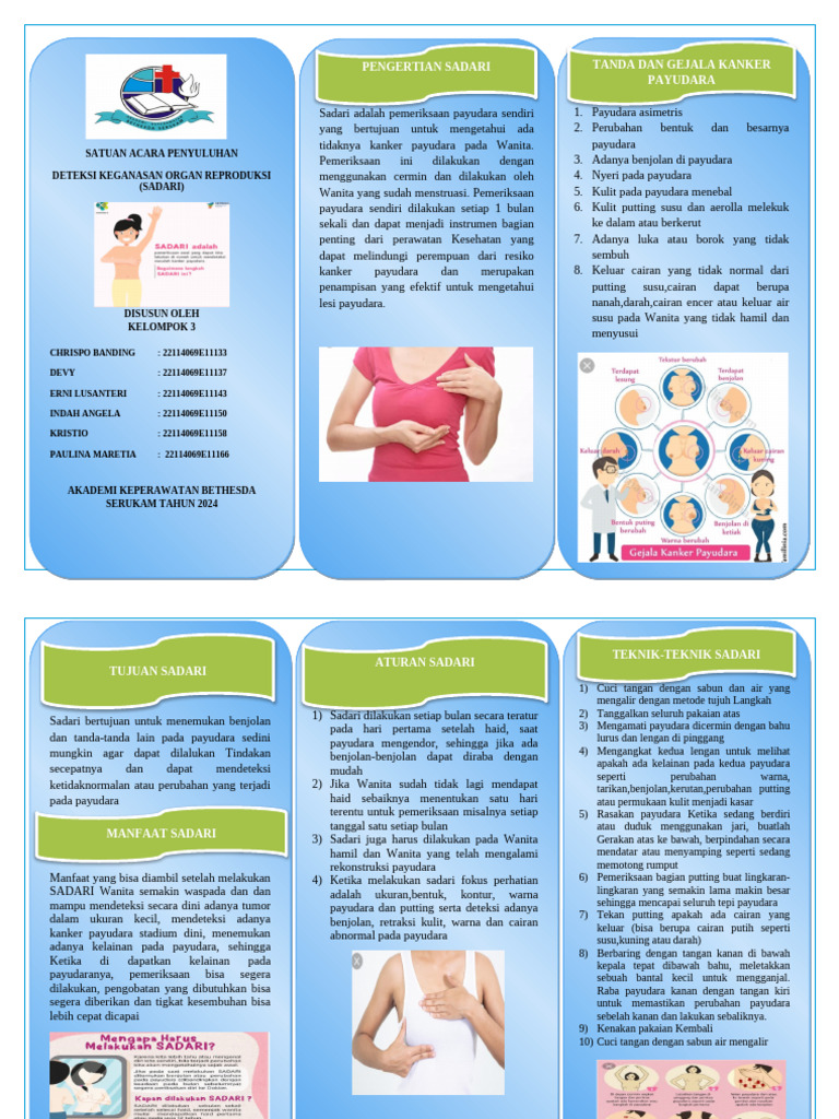 Leaflet Sadari Kelompok 3 | PDF
