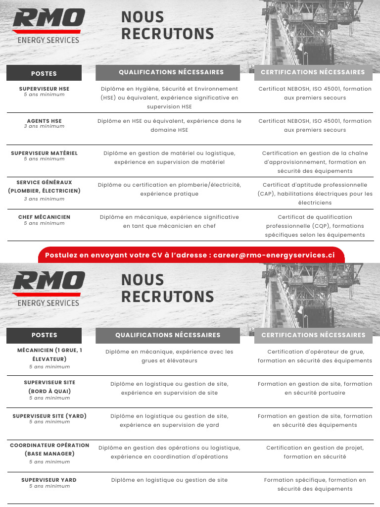 Rmo Energy Services | PDF