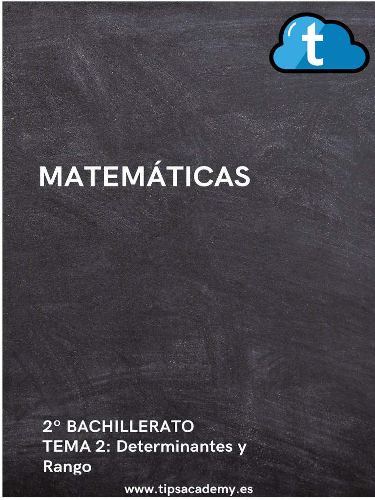 Ejercicios de Determinantes y Rango | PDF