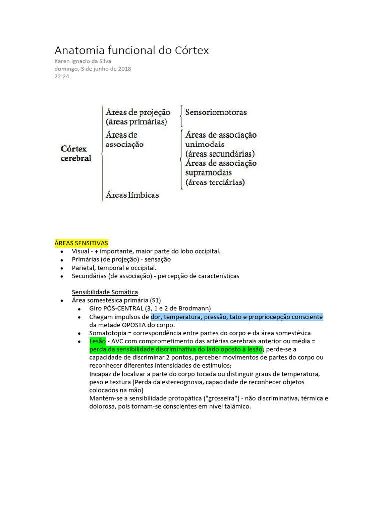 Resumo Anatomia Funcional Do Córtex | PDF