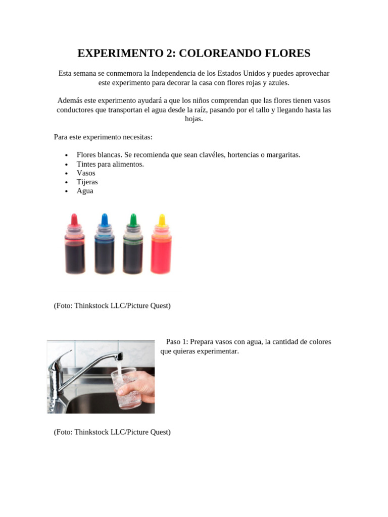 Experimento 2 | PDF
