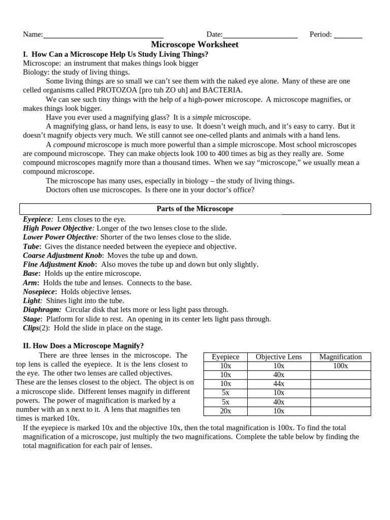 Microscope - Worksheet With Answers | PDF
