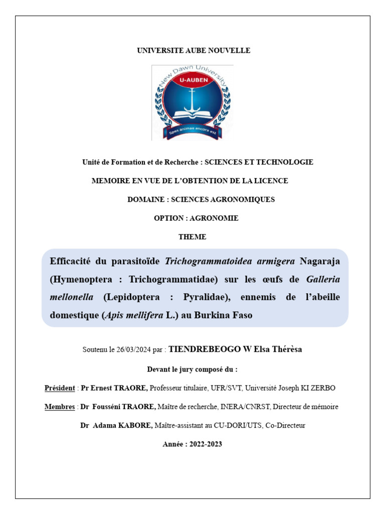 Mémoire Final - Elsa - 29 Avril 2024 | PDF | Insects | Insects And Humans