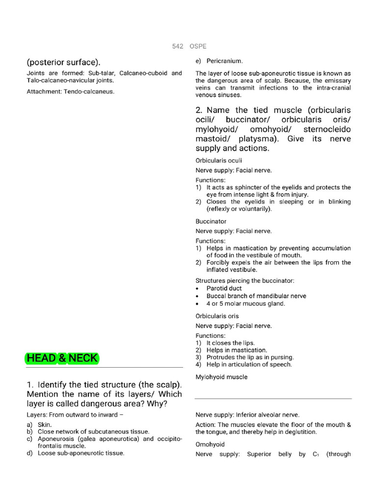 Head Neck Ospe | PDF