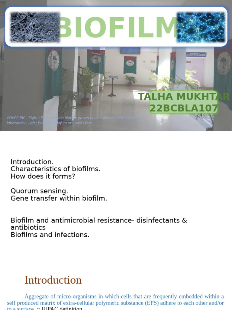 Biofilm | PDF