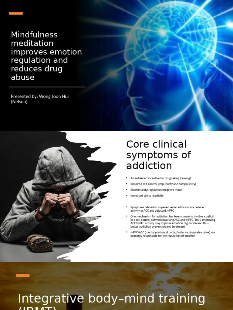 Mindfulness Meditation | PDF