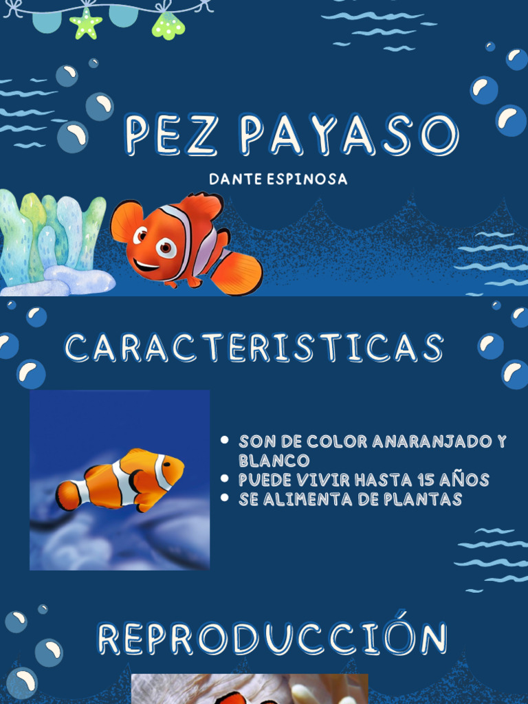 Pez Payaso | PDF