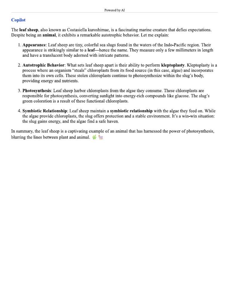 Leaf Sheep 1234 | PDF