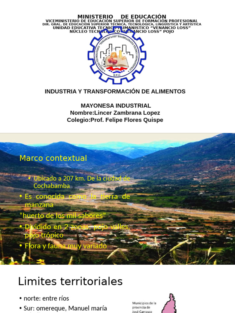 Mayoneza Lincer | PDF