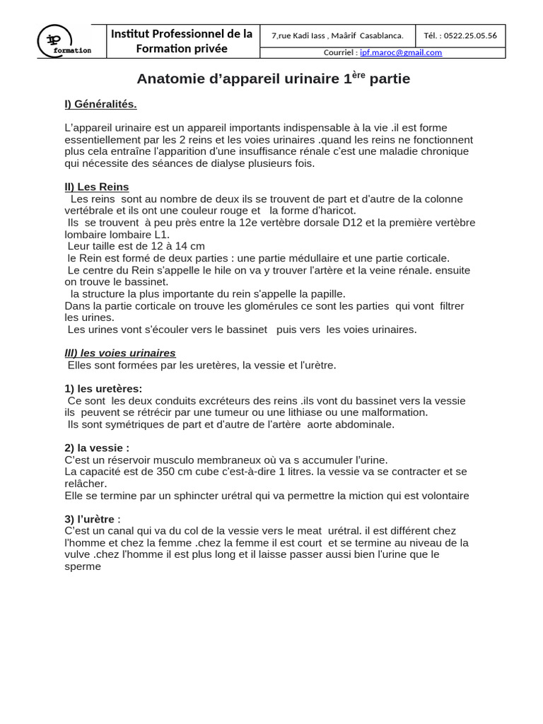 4 Anatomie | PDF