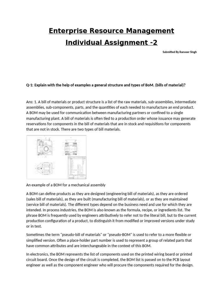 Enterprise Resource Planning - Individual Assignment - 2 | PDF